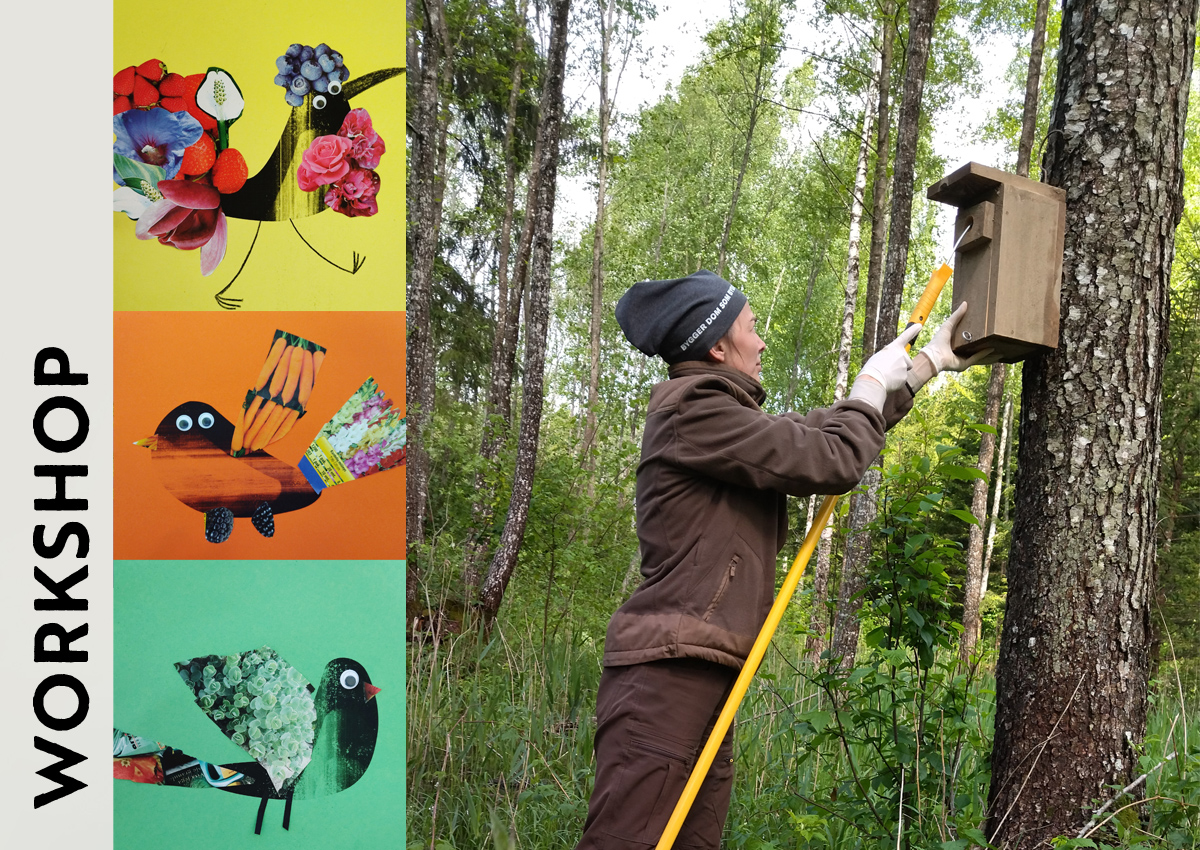 Edukacija „Kas gyvena inkilėlyje“ ir kūrybinės dirbtuvės - Dagilis.lt